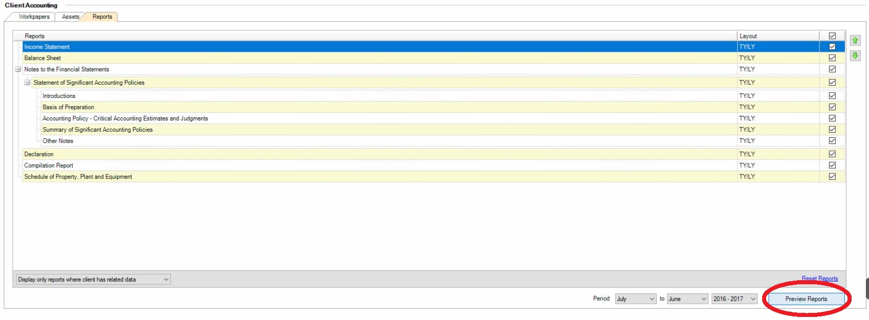Previewing financial statements
