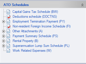 Non-resident foreign income schedule (fi) 2025